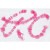 Animal Cell Microscope Slides - LabWorld.co.uk