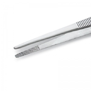 3B Anatomical Dissection Forceps - LabWorld.co.uk