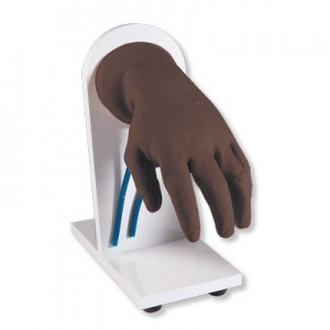 I.V. Injection Hand - LabWorld.co.uk