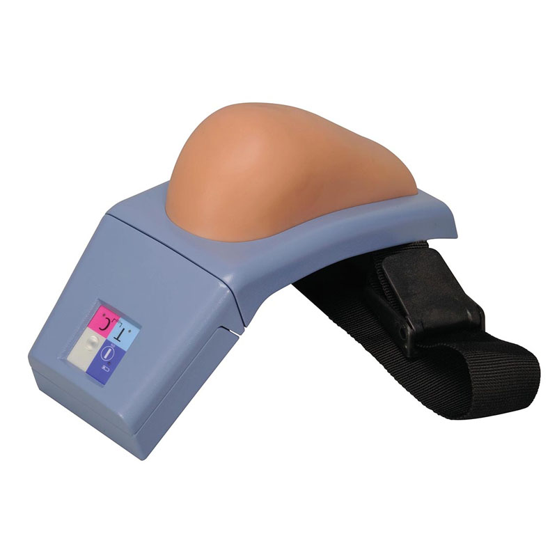 Upper Arm Intramuscular Injection Simulator - LabWorld.co.uk