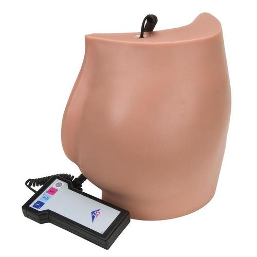 Buttock Intramuscular Injection Simulator - LabWorld.co.uk