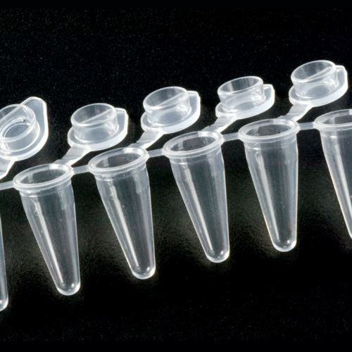 PCR 0.2ml Low Profile Tubes in Strips - LabWorld.co.uk