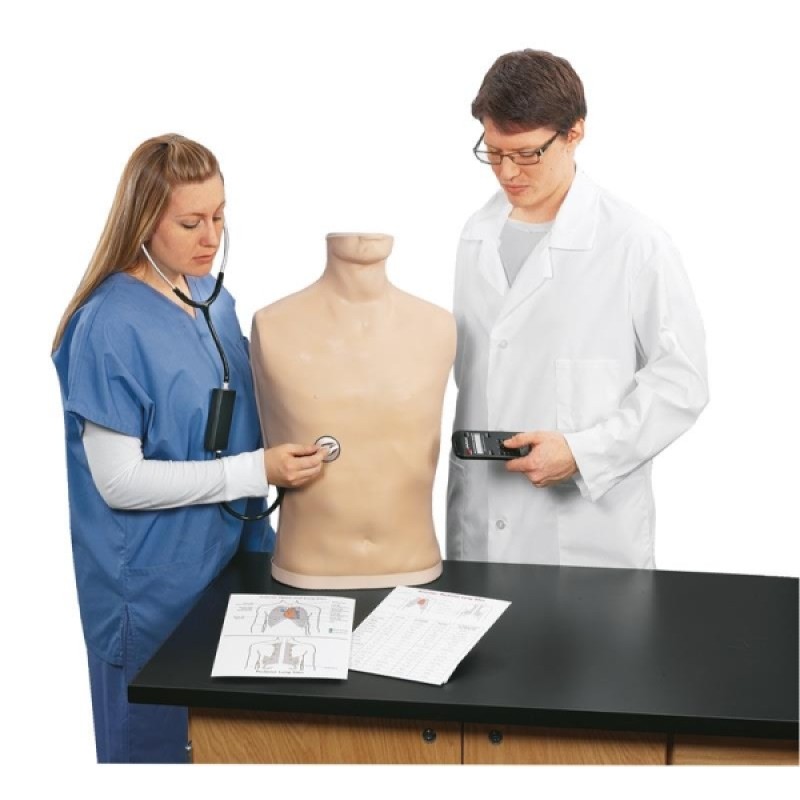 Erler-Zimmer Auscultation Simulator - LabWorld.co.uk