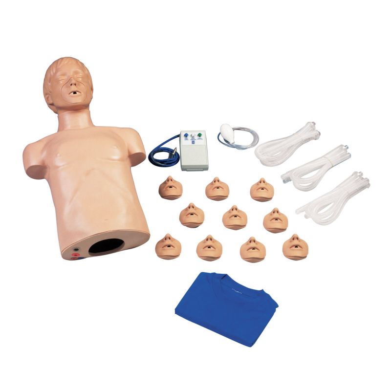 Adult CPR Torso with Light Controller - LabWorld.co.uk