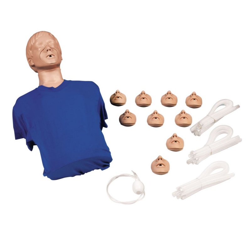 CPR Torso - LabWorld.co.uk