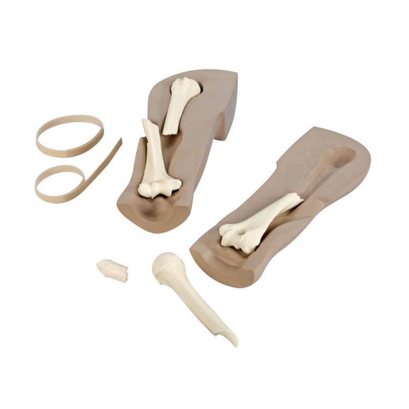Life/Form Imaging Fracture Simulator - LabWorld.co.uk