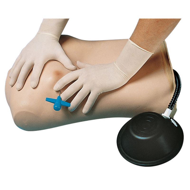 Pneumothorax Simulator - LabWorld.co.uk