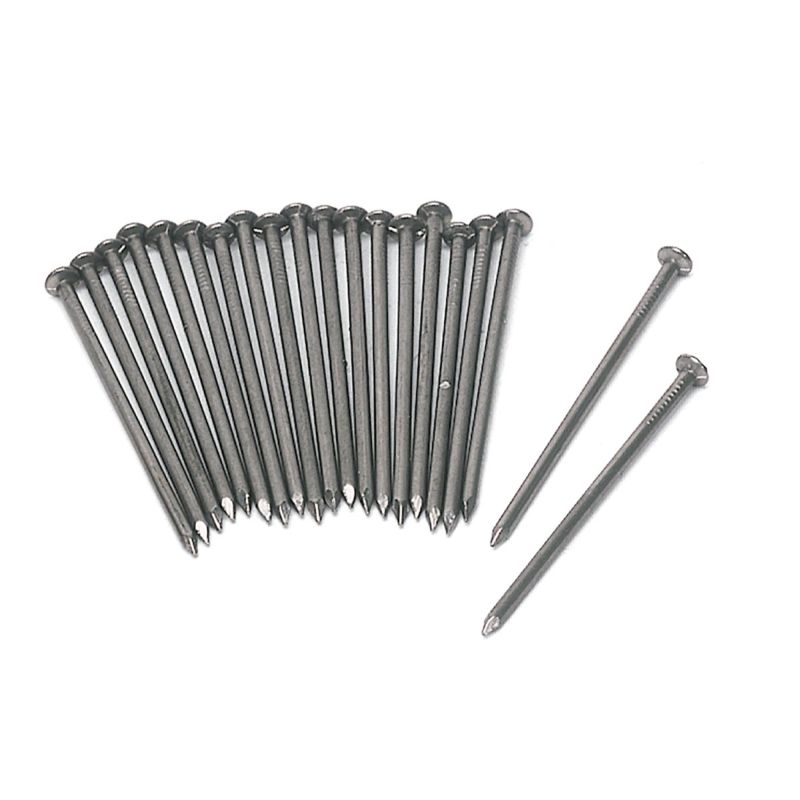 Pack of Nails - LabWorld.co.uk