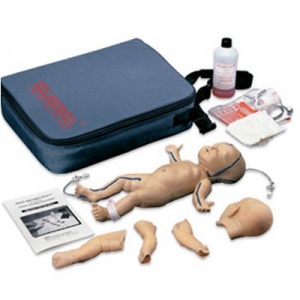 Central Venous Cannulation Simulator - LabWorld.co.uk
